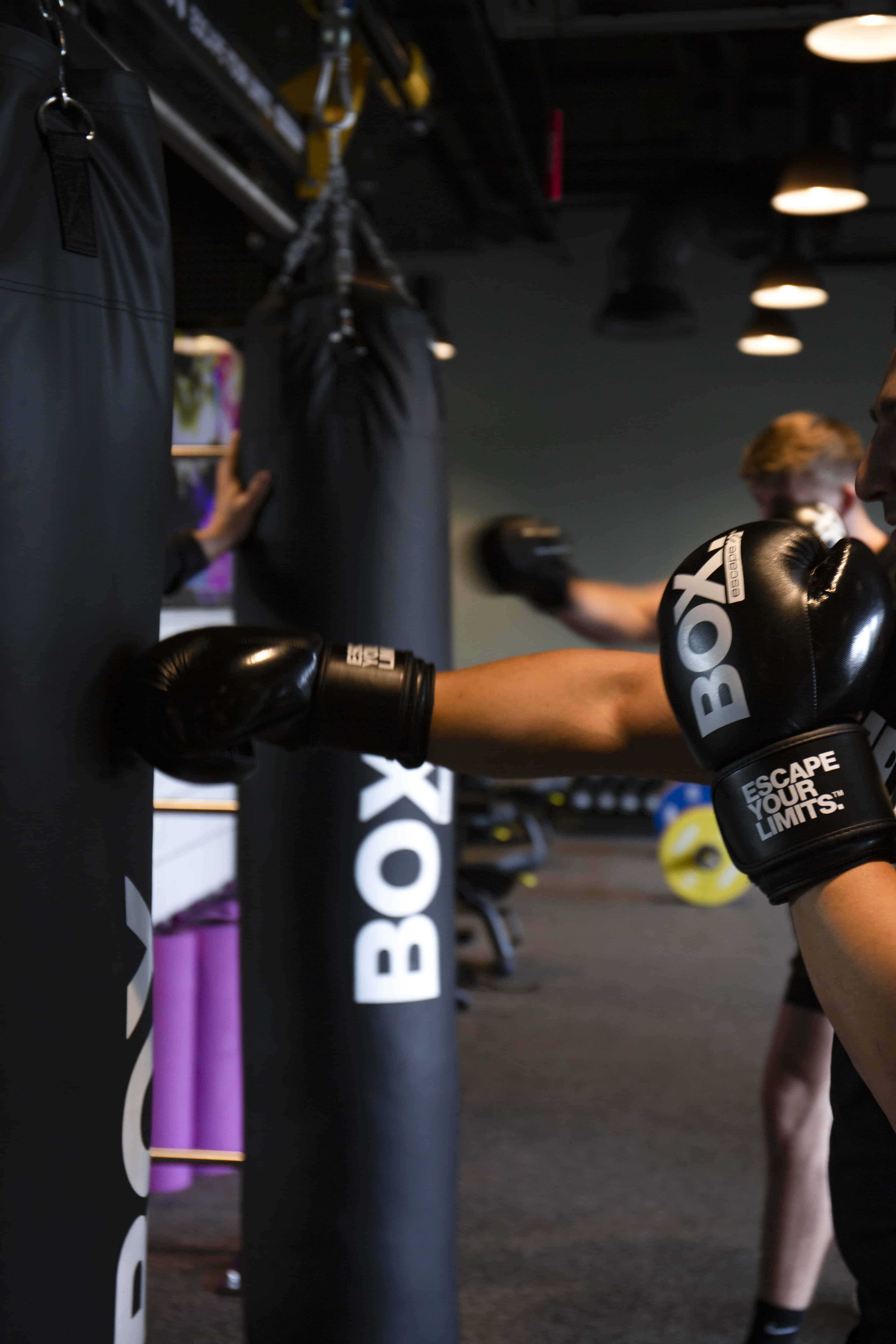 True Student | Amber