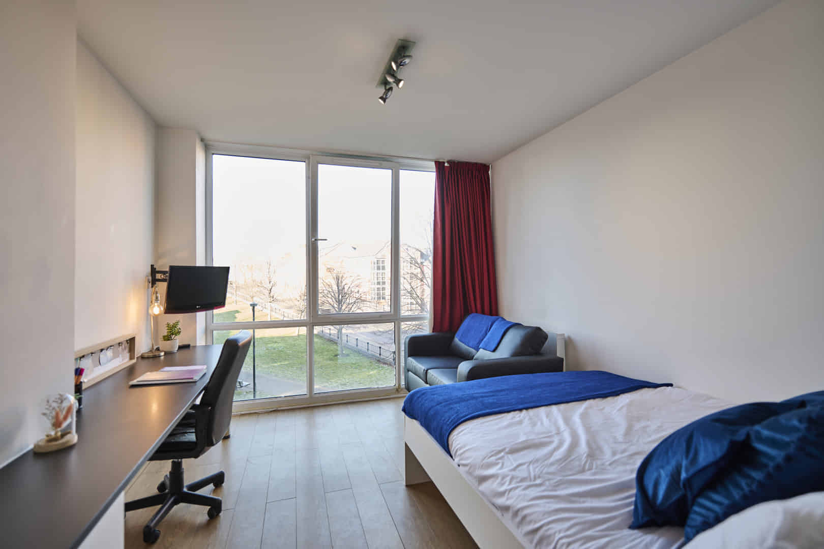 Student Roost | Amber