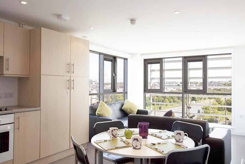 Allied Students | Amber