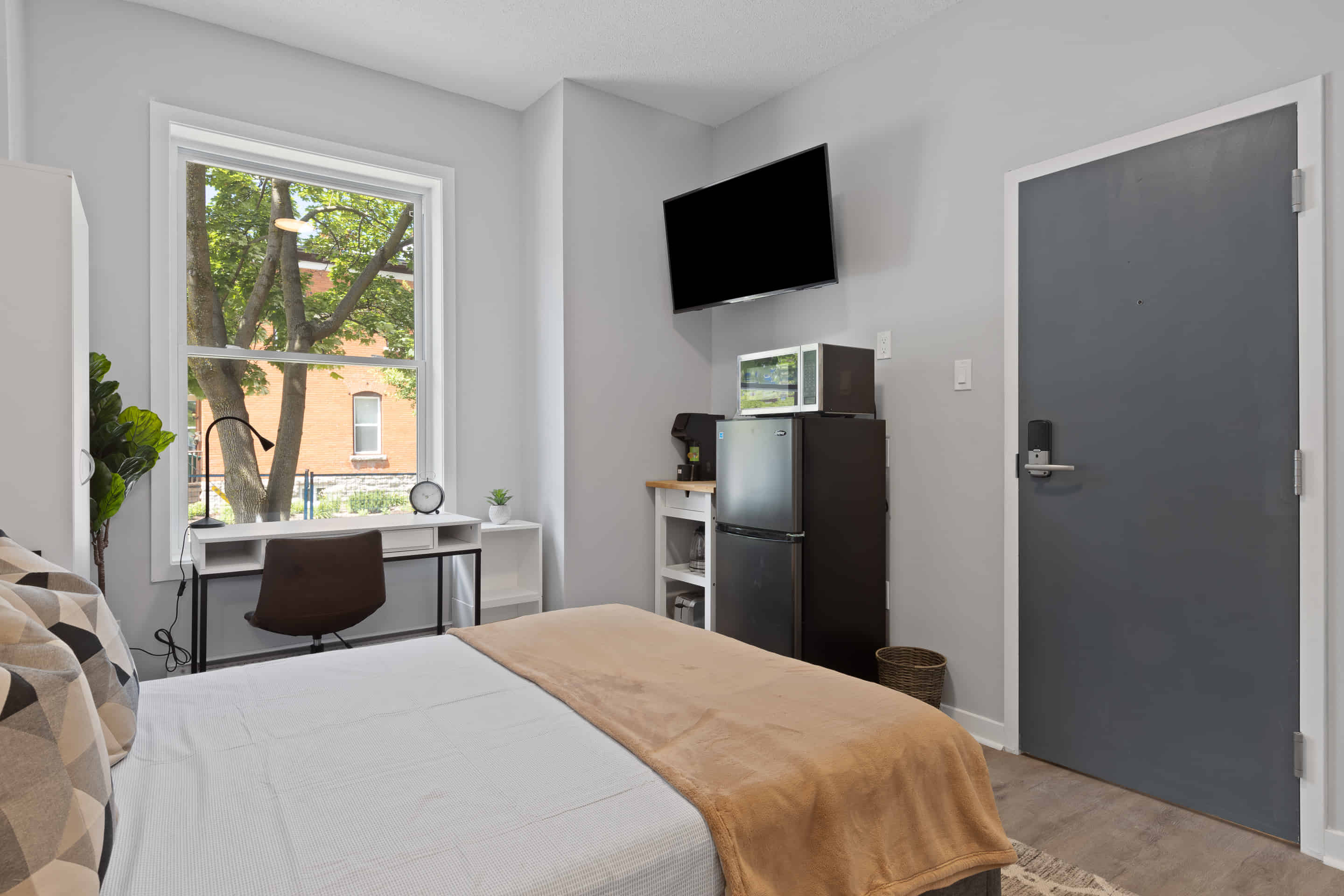 Student Housing Carleton University | Amber