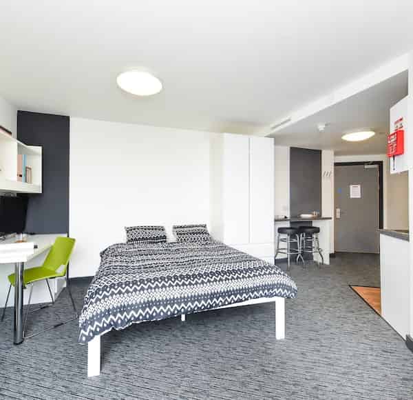 Student Roost | Amber