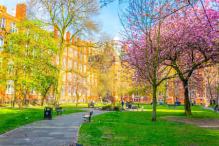 Book Uni Of Manchester Accommodation For Students | Amber