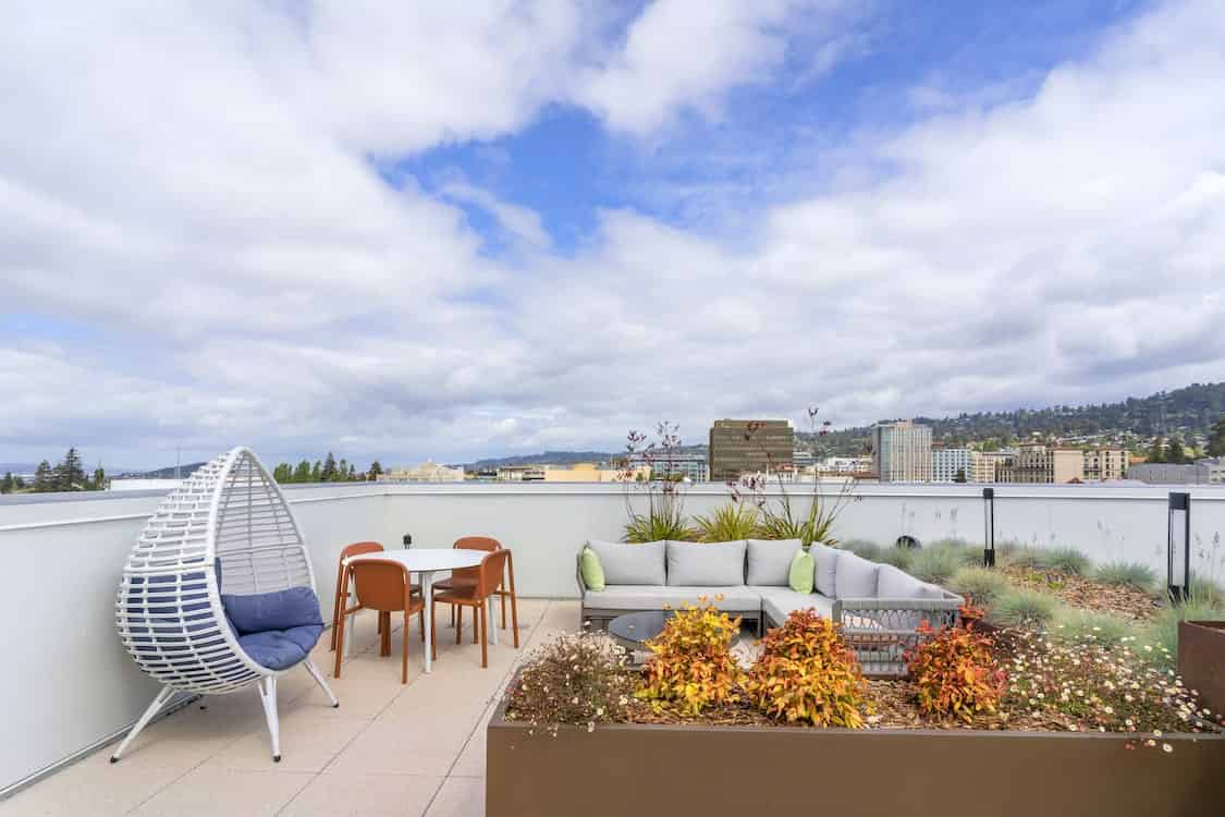 Book Identity Logan Park, Berkeley Student Housing | Amber