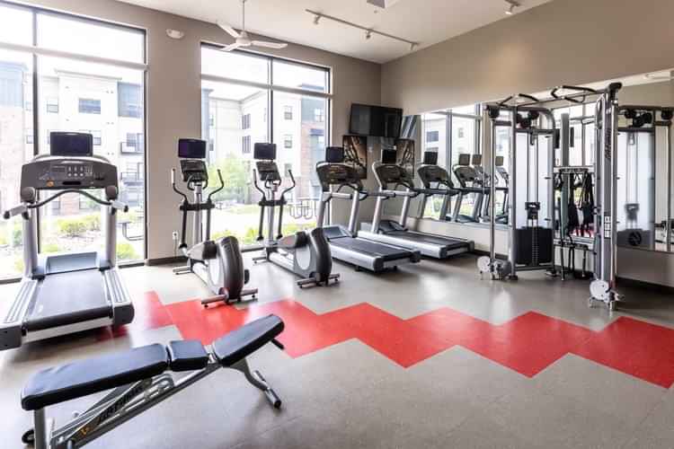 University Edge Youngstown, Youngstown | Amber