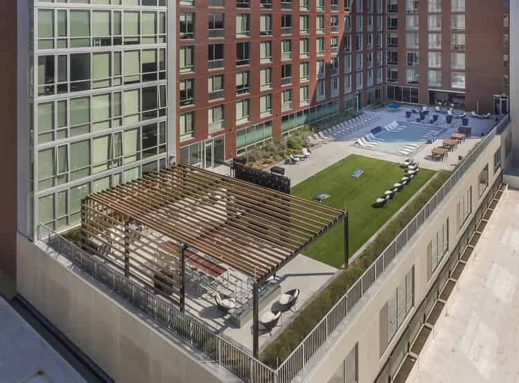 Everly On The Loop, St Louis in St. Louis | Amber